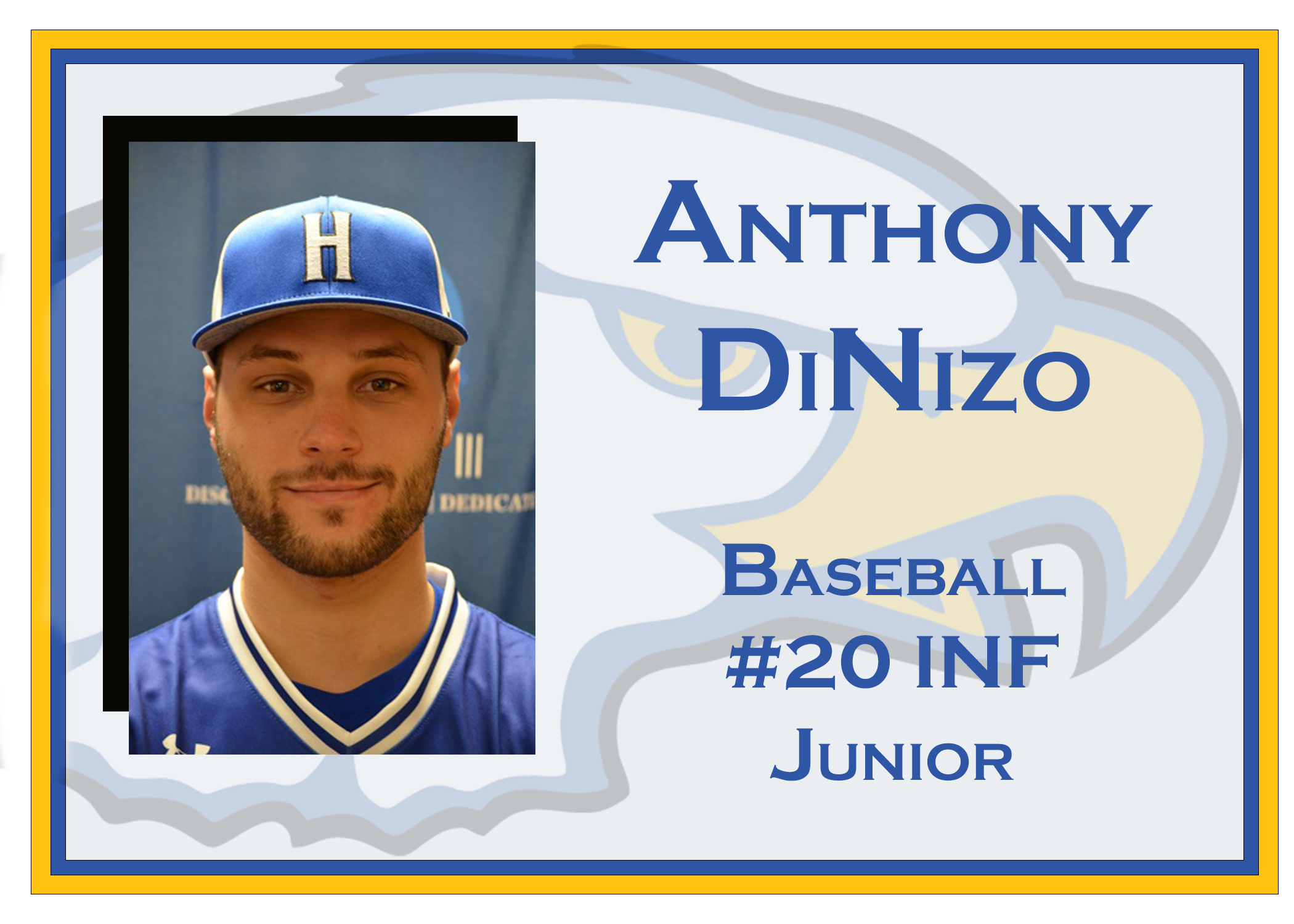 Anthony DiNizo - Baseball - Hilbert College Athletics
